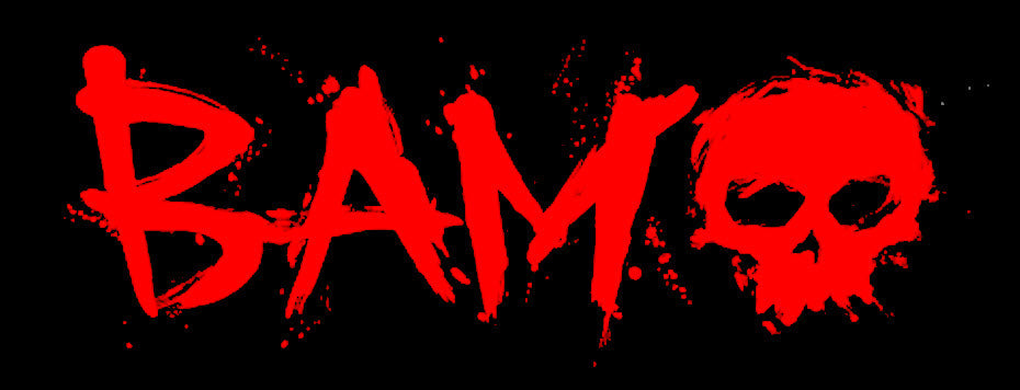 ZERO x BAM – Zero Skateboards